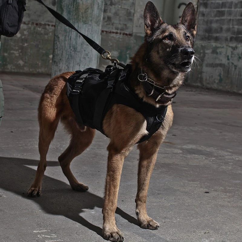 London Bridge Trading LBT Tactical K9 Harness